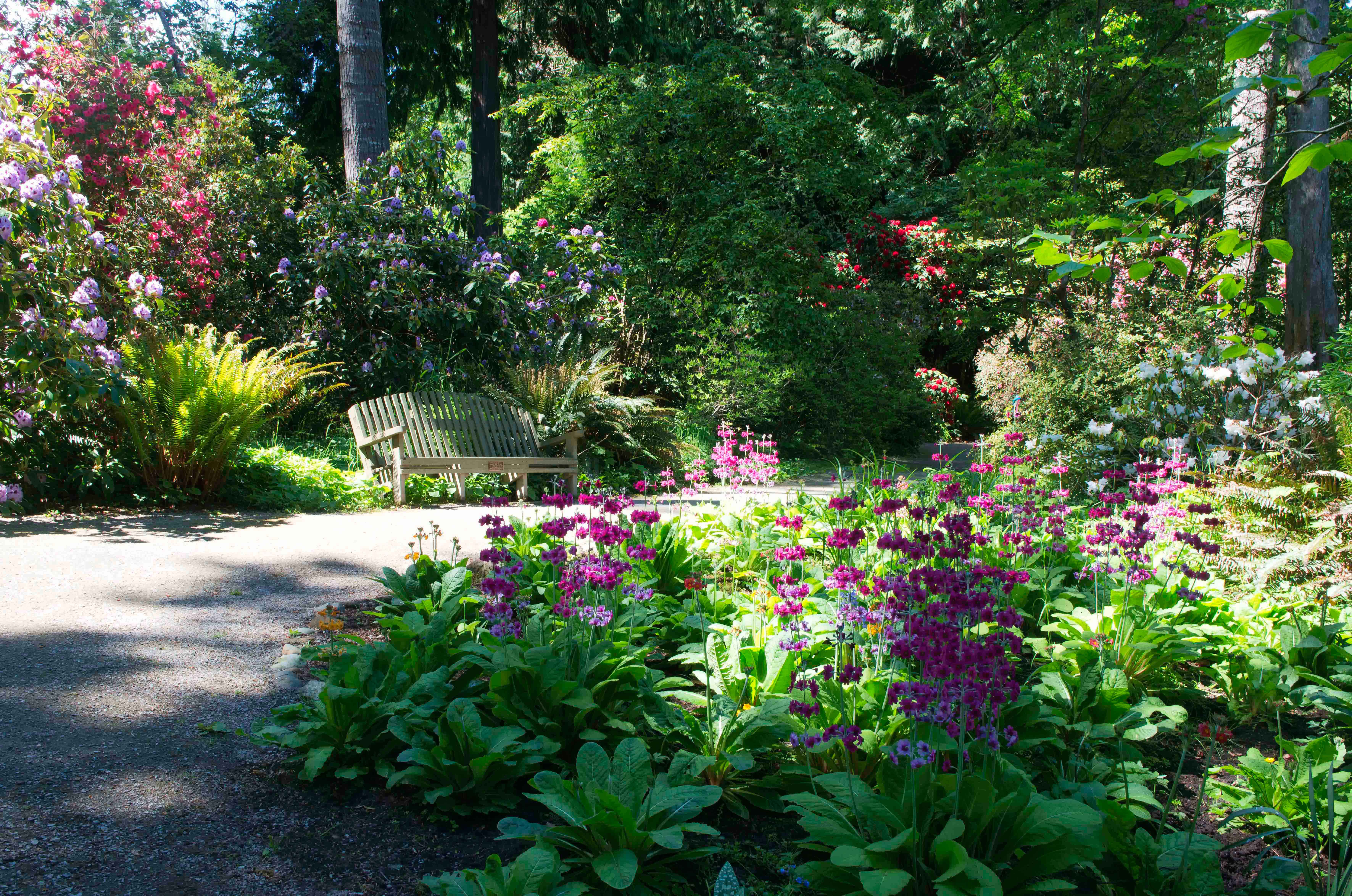 Spotlight: Milner Gardens & Woodland - British Columbia Magazine